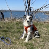 Longhorn Loop, Texas - 65 Reviews, Map | AllTrails