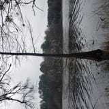 Hinson Lake, North Carolina - 72 Reviews, Map | AllTrails