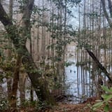 Hinson Lake, North Carolina - 72 Reviews, Map | AllTrails