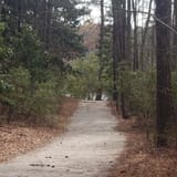 Hinson Lake, North Carolina - 72 Reviews, Map | AllTrails