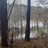 Hinson Lake, North Carolina - 72 Reviews, Map | AllTrails