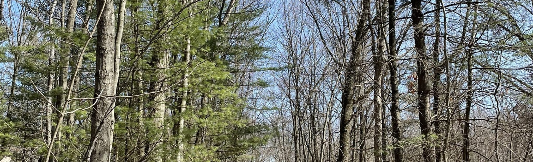 Hidden River Trail, New York - 2 Reviews, Map | AllTrails