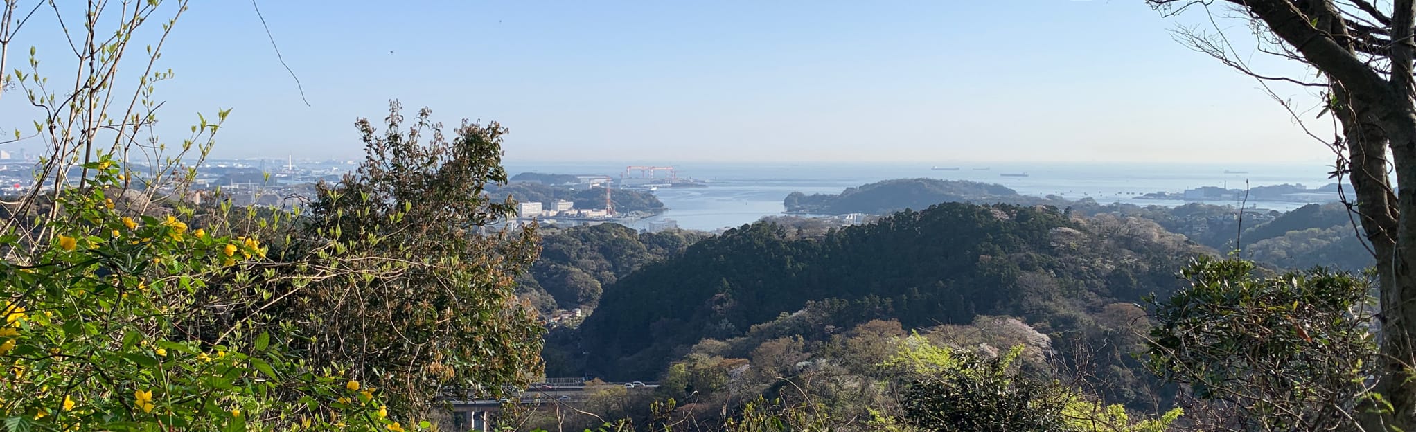 Mt. Futago Ikoinooka, Kanagawa, Japan - 3 Reviews, Map | AllTrails