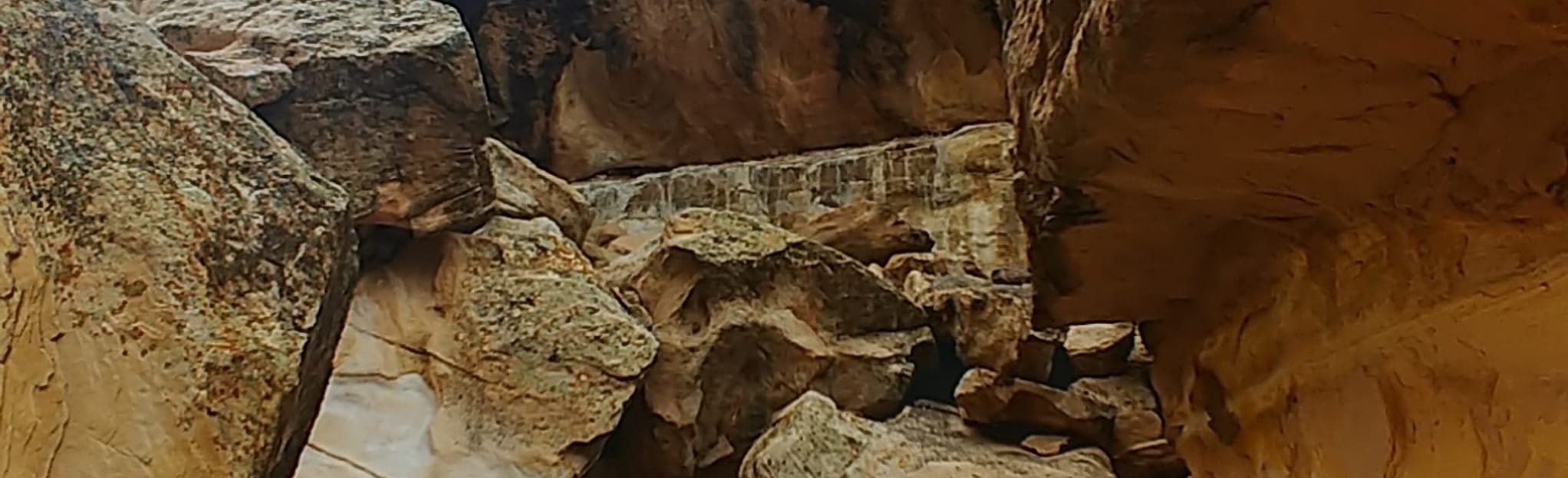 Cool Rock Canyon Trail: 13 Reviews, Map - Colorado | AllTrails