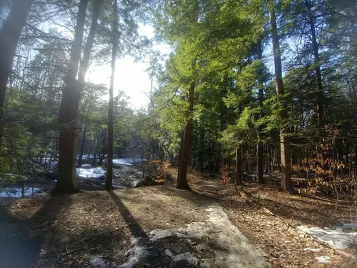Best Hikes and Trails in Erie County Reforestation Area | AllTrails