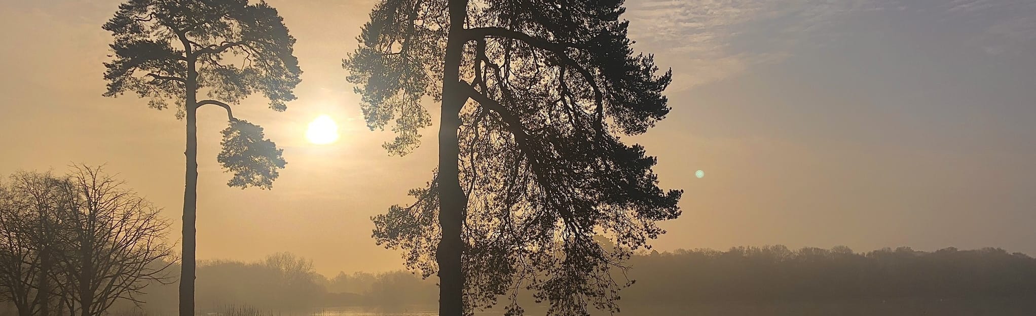 Peterfield Heath - Tilmore, Hampshire, England - 15 Reviews, Map ...