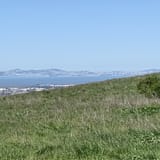 High Ridge and Pioneer Trail Loop, California - 256 Reviews, Map ...