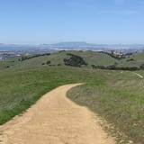 High Ridge and Pioneer Trail Loop, California - 256 Reviews, Map ...