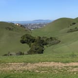 High Ridge and Pioneer Trail Loop, California - 256 Reviews, Map ...