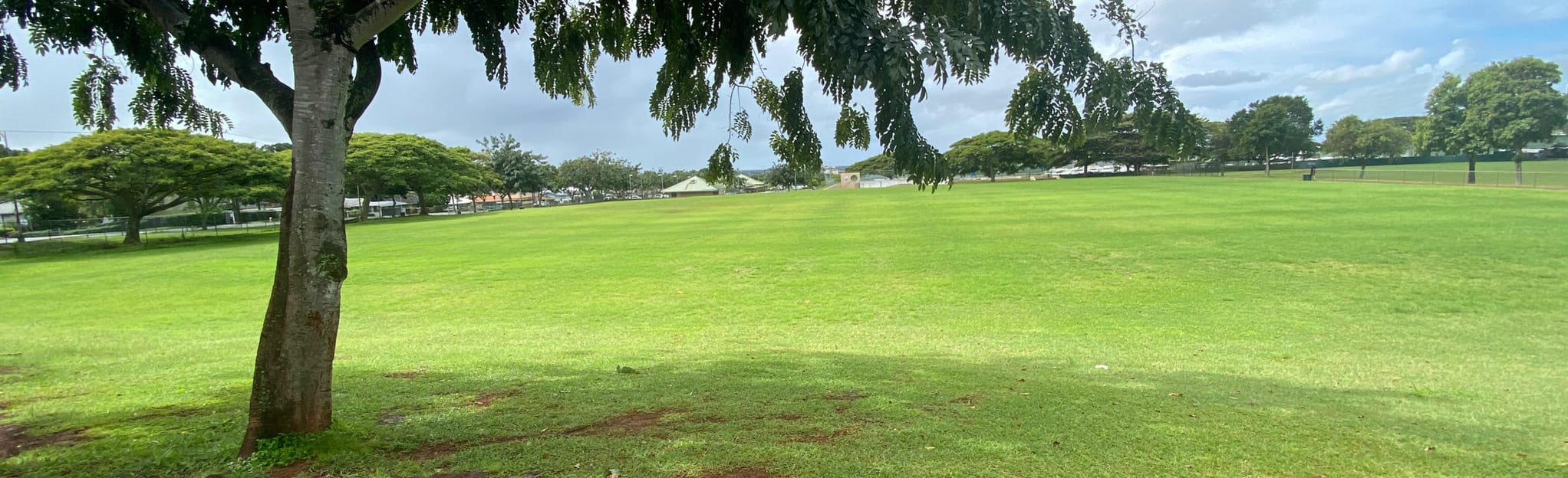 Manana Park Trail: 7 Reviews, Map - Oahu, Hawaii | AllTrails