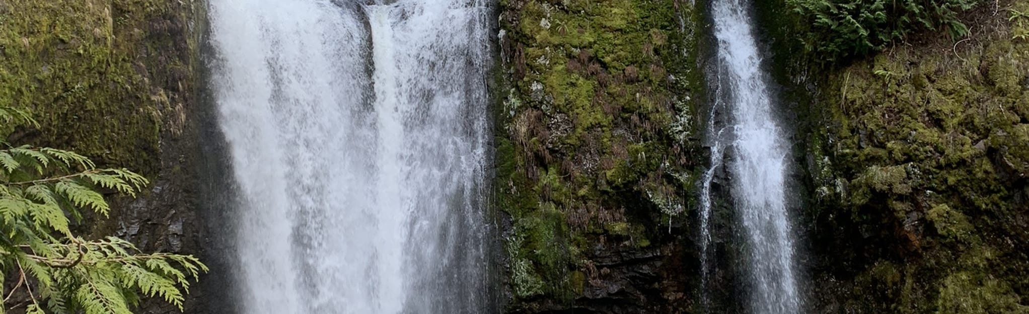 Falls Creek Lower Falls Loop: 1.781 fotos - Washington | AllTrails
