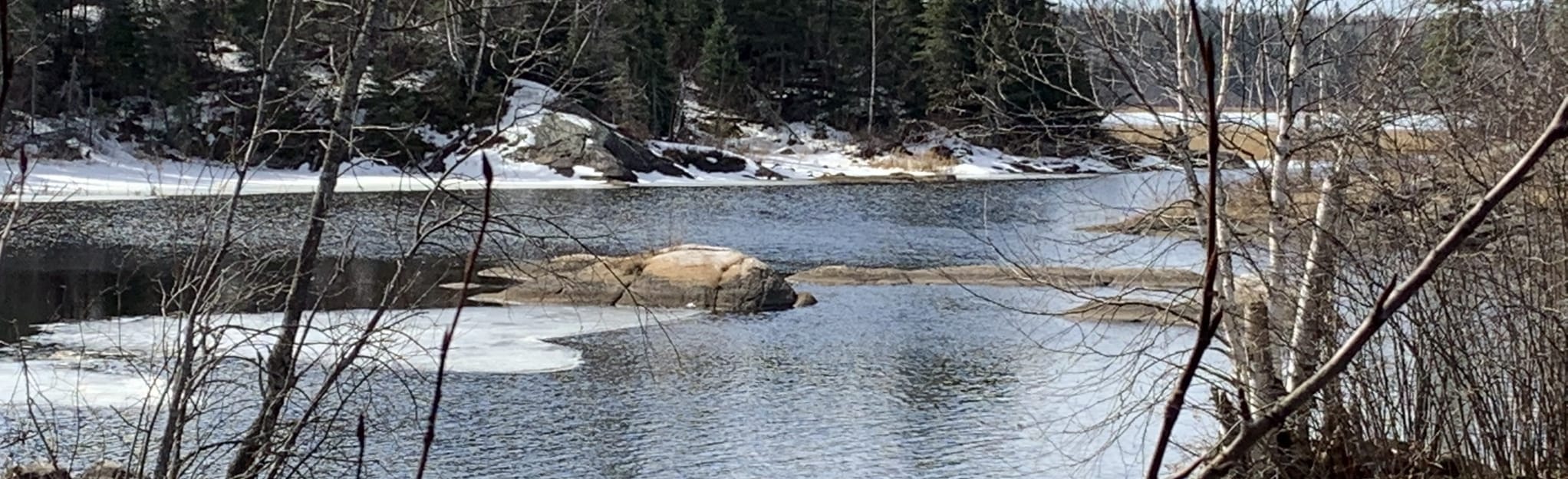 Bird Lake Paddle, Manitoba, Canada - 5 Reviews, Map | AllTrails