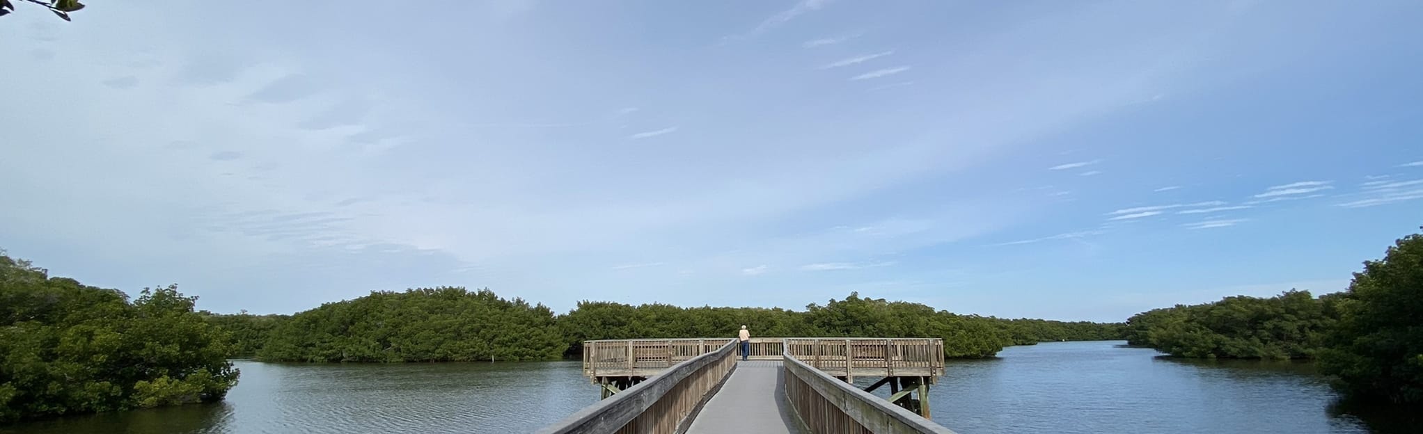 Upland Trail and Bay Boardwalk | Map, Guide - Florida | AllTrails