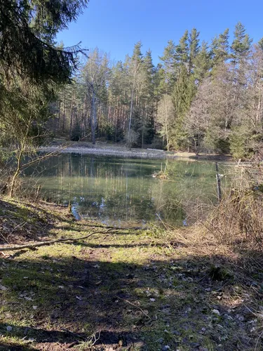 Parc naturel de la Forêt de Thuringe : les 10 meilleures randonnées ...