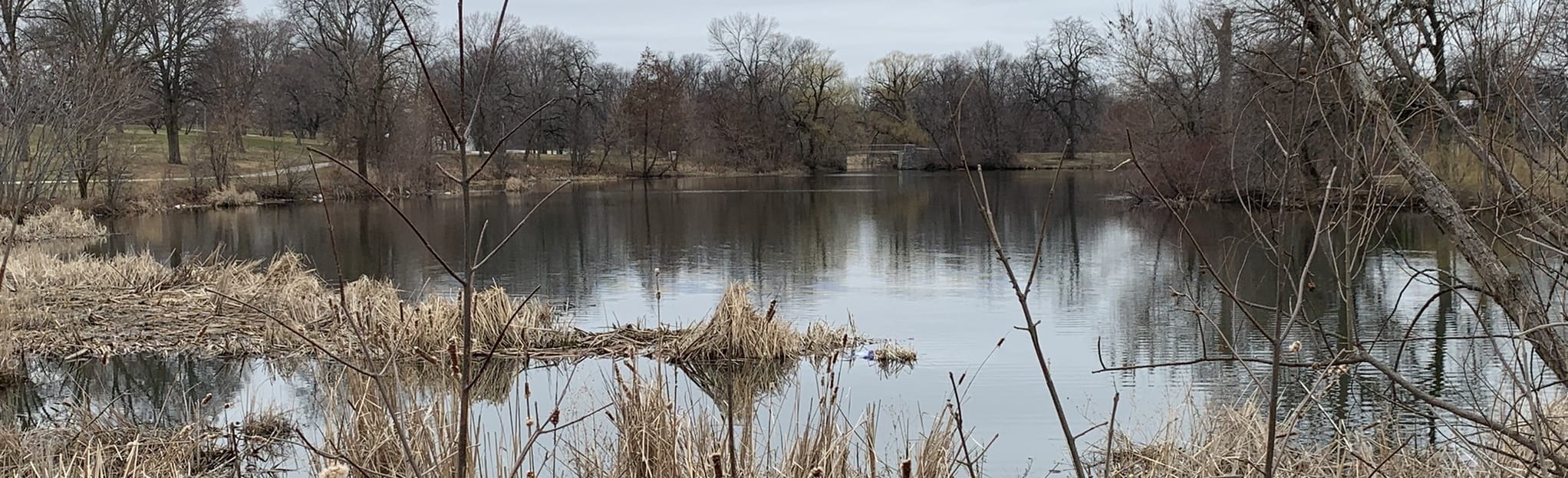 Washington Park Loop: 13 Reviews, Map - Wisconsin | AllTrails