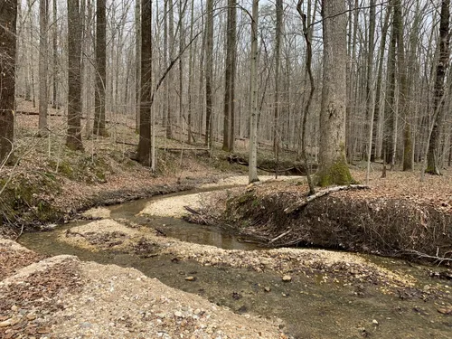 Best Mountain Biking Trails in L P Cosca Regional Park | AllTrails