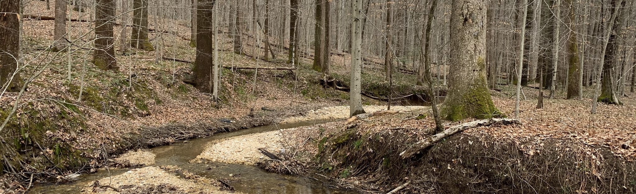 L P Cosca Regional Park Green Loop: 127 Reviews, Map - Maryland | AllTrails