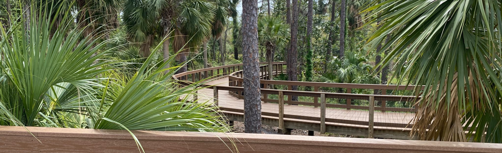 Loggerhead Run Bike Trail, Florida - 37 Reviews, Map | AllTrails