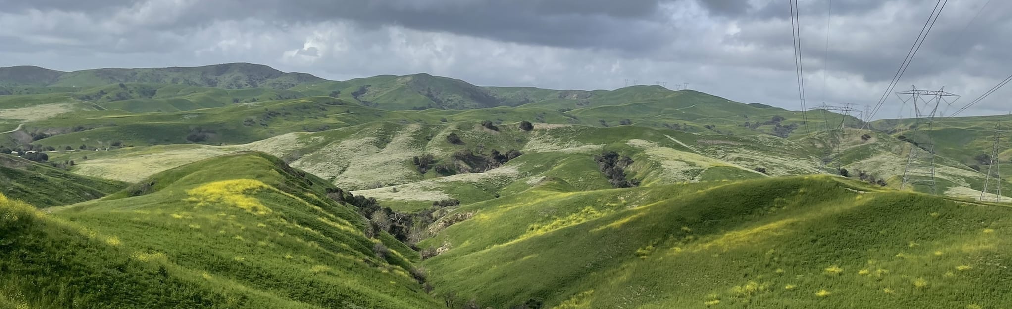 Bane Canyon Road, Upper Aliso Canyon Trail, and Sidewinder Trail Loop ...
