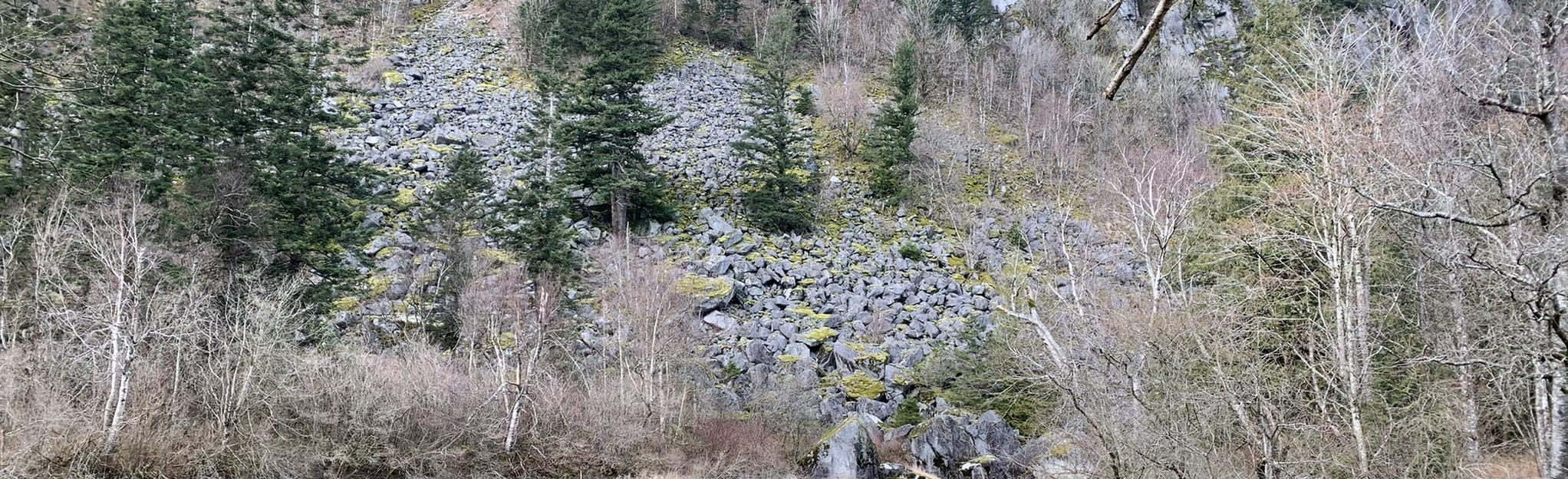 Eagle Loop Trail: 6 Reviews, Map - British Columbia, Canada | AllTrails