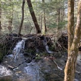 Bear’s Den Falls, Massachusetts - 124 Reviews, Map | AllTrails
