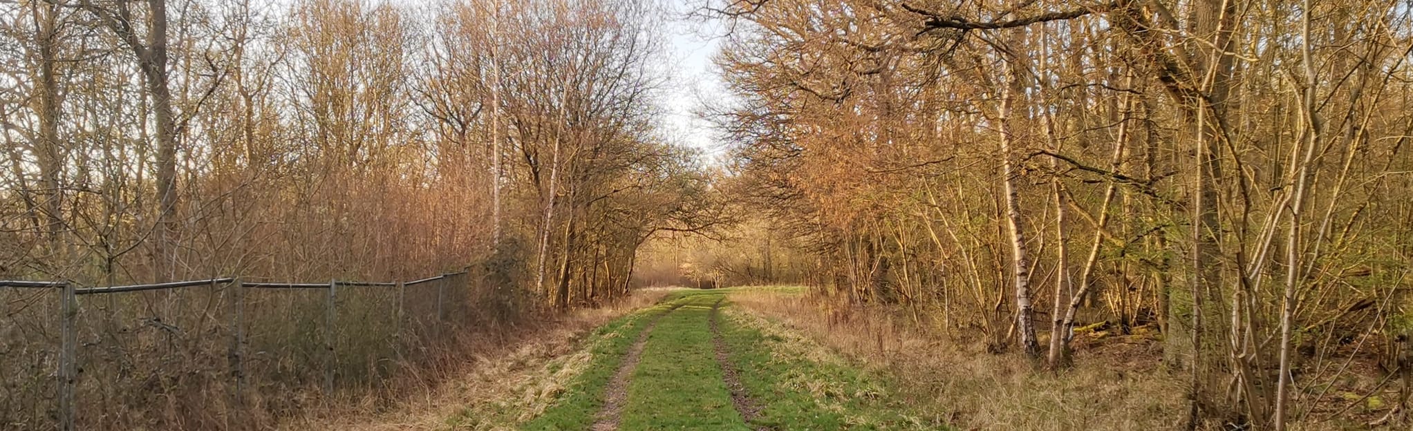 Finmere Wood, Buckinghamshire, England - 14 Reviews, Map | AllTrails