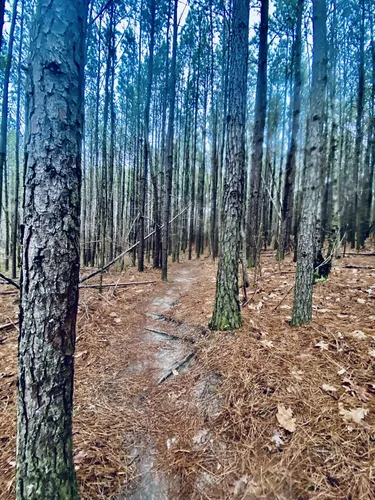 Best Hikes and Trails in Mount Tabor Park | AllTrails