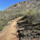 Hauser Canyon Trail, California - 152 Reviews, Map | AllTrails