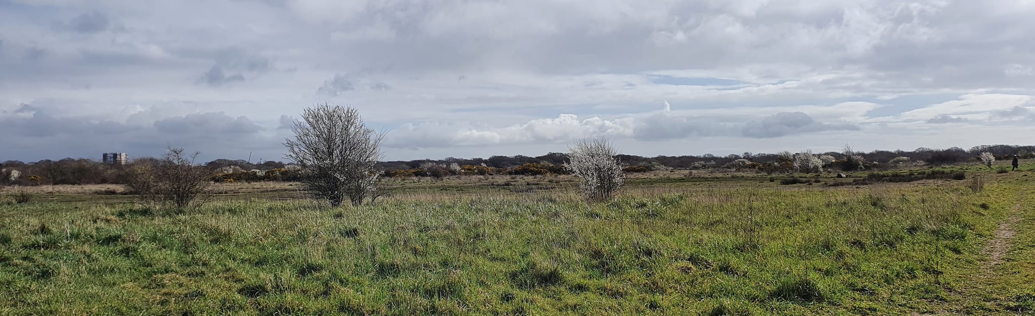 Alver Valley and Stokes Bay Circular: 49 foto's - Hampshire, Engeland ...