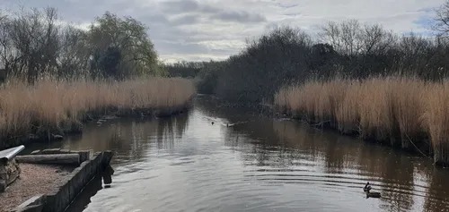 Best Hikes and Trails in Alver Valley Country Park | AllTrails