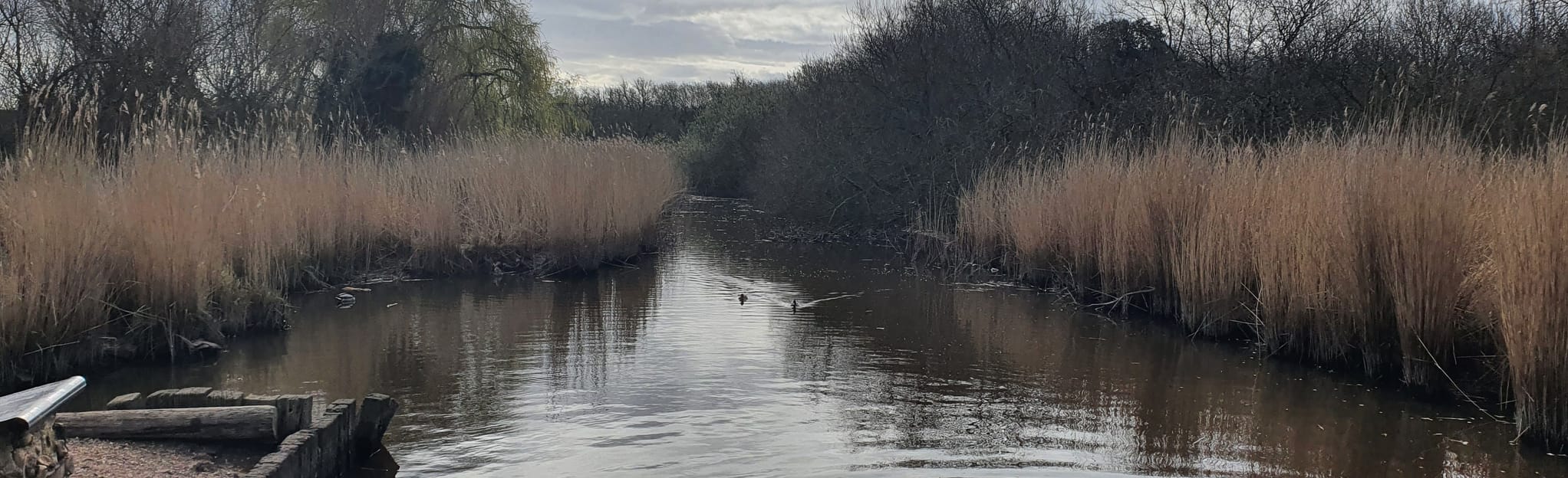 Alver Valley Lake via Sandhill Lane, Hampshire, England - 65 Reviews ...