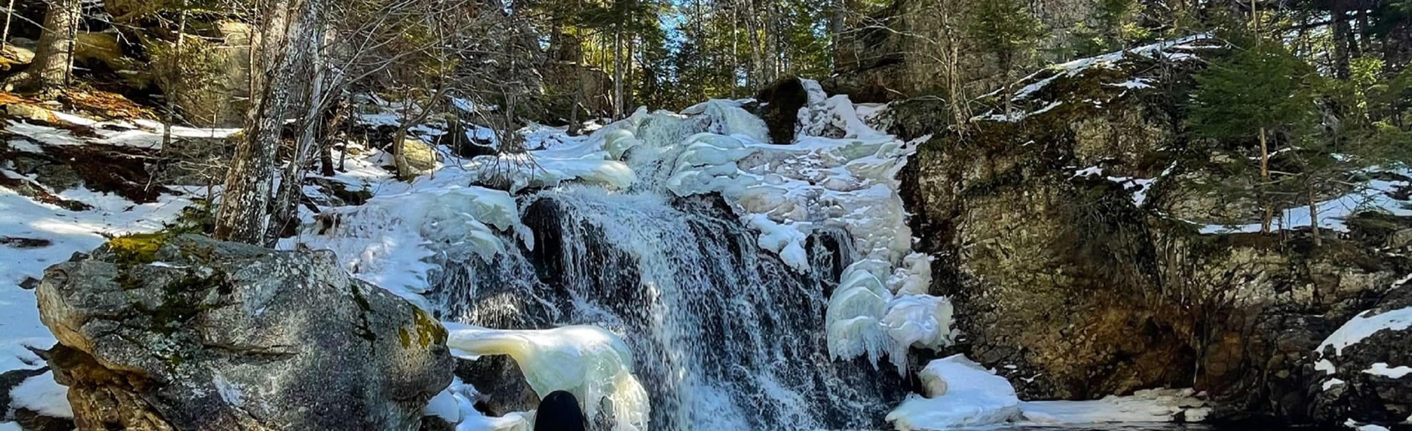 Halls Lake Brook Cove Falls: 14 Reviews, Map - Nova Scotia, Canada ...