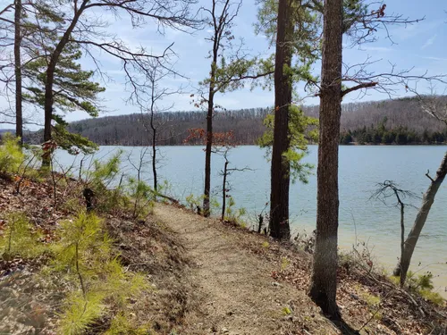 10 Best Hikes and Trails in Mark Twain National Forest | AllTrails
