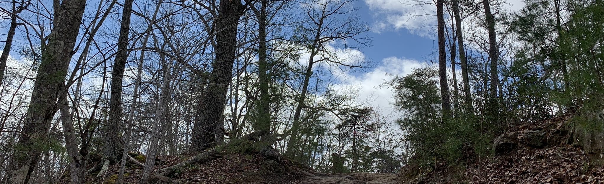 Devils Market House Arch Trail: 213 Reviews, Map - Kentucky | AllTrails