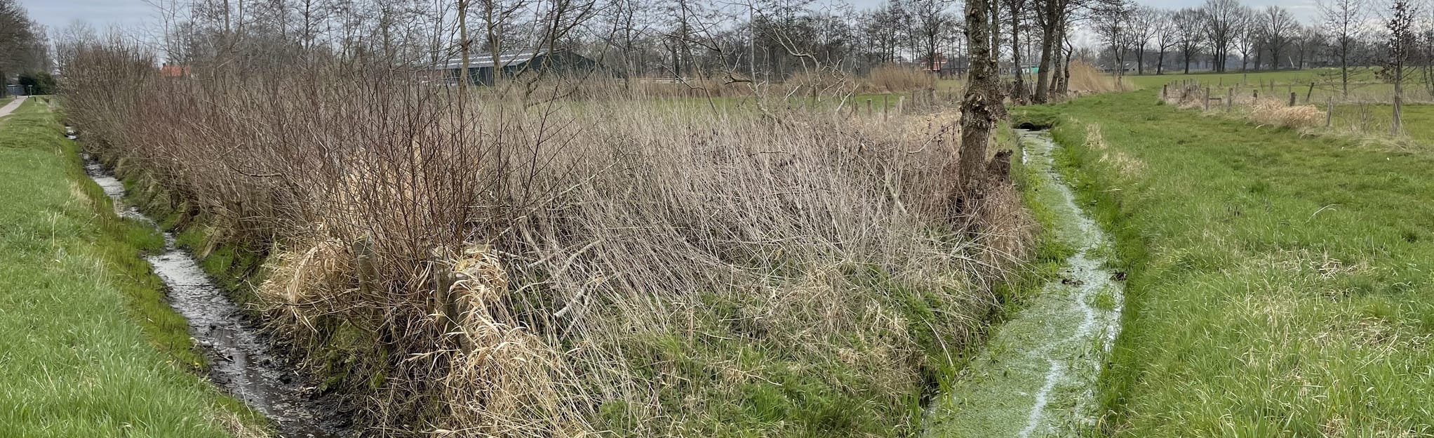 Lichtjestocht Esbeek, North Brabant, Netherlands - Map, Guide | AllTrails