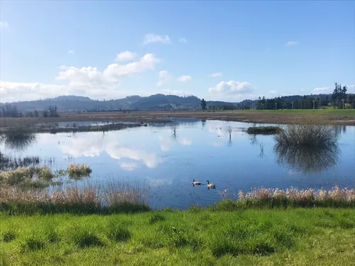 Best Walking Trails in Alvadore | AllTrails