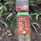 Chuckanut Mountain, Washington - 341 Reviews, Map | AllTrails