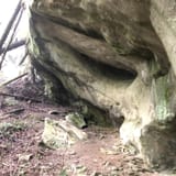 Chuckanut Mountain, Washington - 341 Reviews, Map | AllTrails