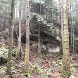 Chuckanut Mountain, Washington - 341 Reviews, Map | AllTrails