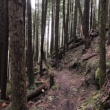 Chuckanut Mountain, Washington - 341 Reviews, Map | AllTrails