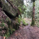 Chuckanut Mountain, Washington - 341 Reviews, Map | AllTrails