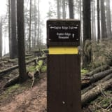 Chuckanut Mountain, Washington - 341 Reviews, Map | AllTrails