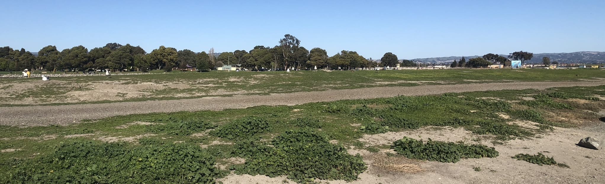 Faro Point Loop, California - 340 Reviews, Map | AllTrails