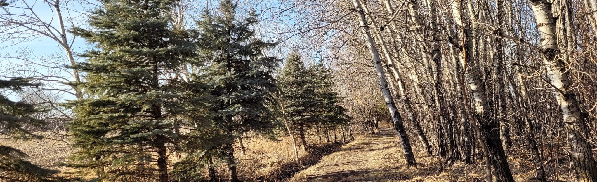 Surviving This Harsh Climate Trail: 9 Reviews, Map - Manitoba, Canada ...