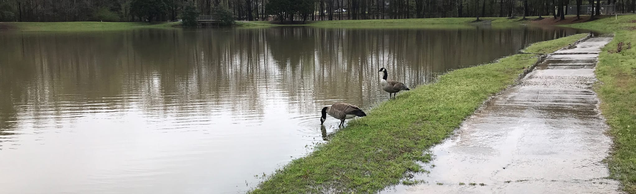 Johnson Road Park Loop, Tennessee - 12 Reviews, Map | AllTrails