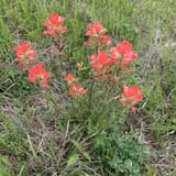 Lake Bryan Trail, Texas - 247 Reviews, Map | AllTrails