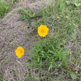 Lake Bryan Trail, Texas - 247 Reviews, Map | AllTrails