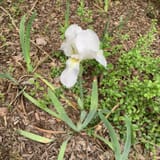 Lake Bryan Trail, Texas - 247 Reviews, Map | AllTrails