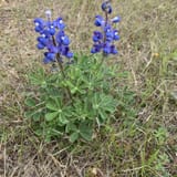 Lake Bryan Trail, Texas - 247 Reviews, Map | AllTrails