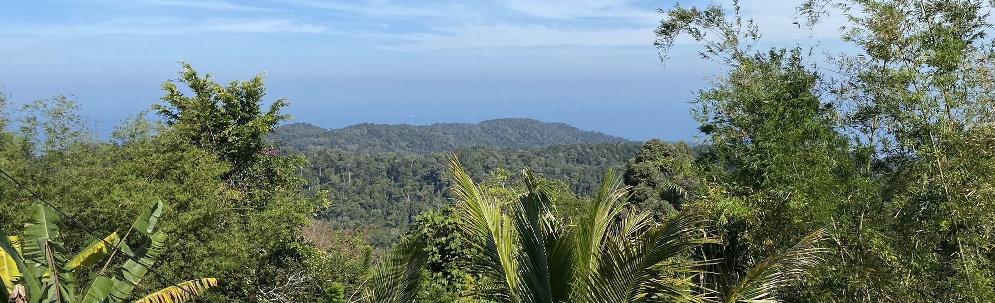 Penang Hill via Botanical Gardens, Penang, Malaysia - 81 Reviews, Map ...